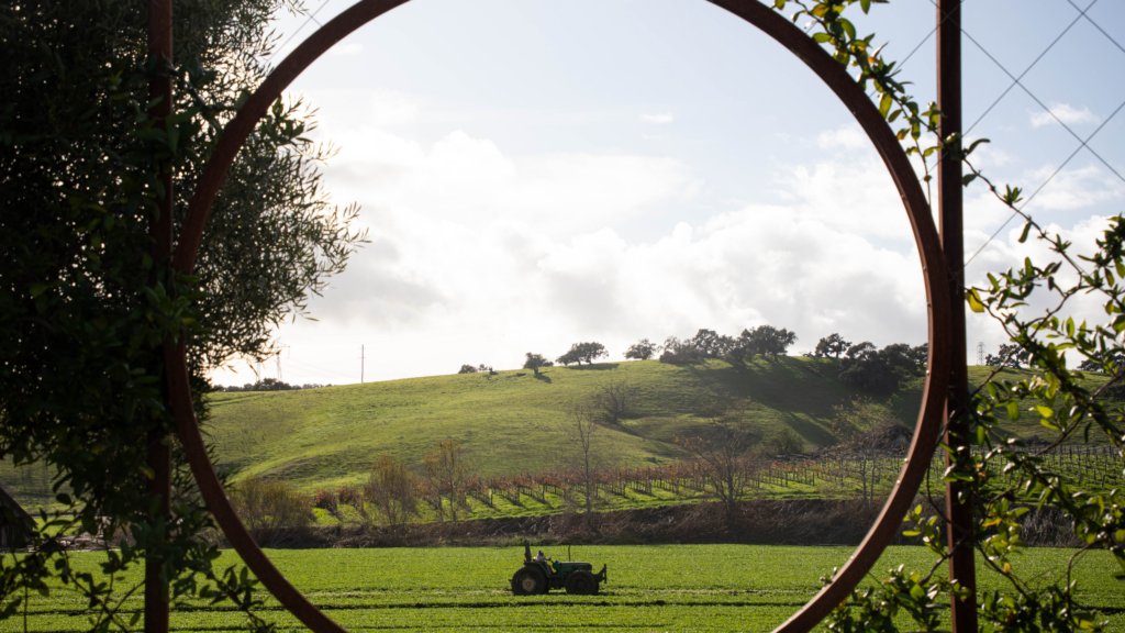 Our History – Talley Vineyards